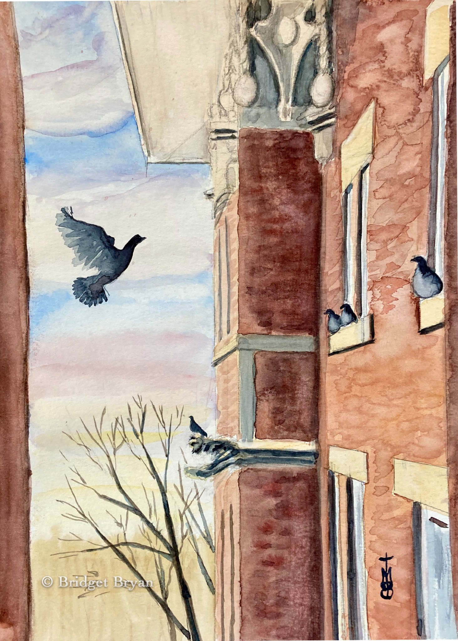 Portfolio – Bridget Bryan