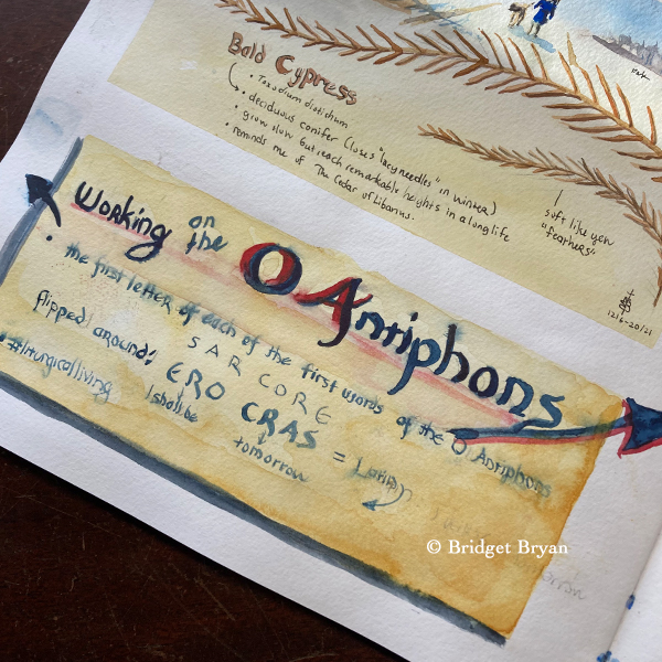 Once Upon a Sickness – Bridget Bryan